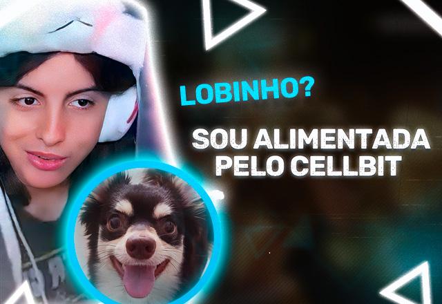 Melhores Clipes: Ela virou o cachorrinho do Cellbit - SBT TV - SBT TV
