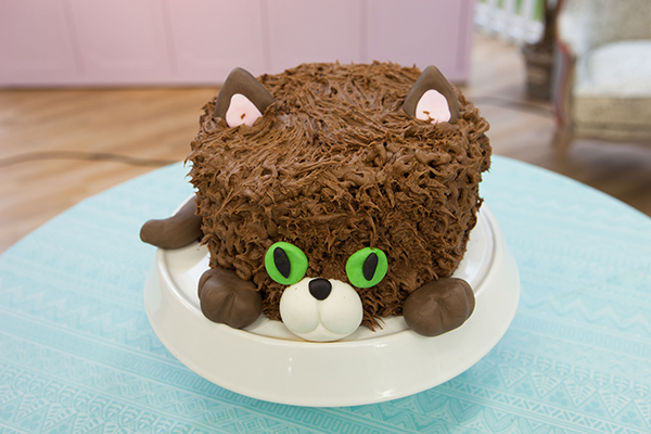 SBT TV | Bolo Animal: Bolo de gato do Dário